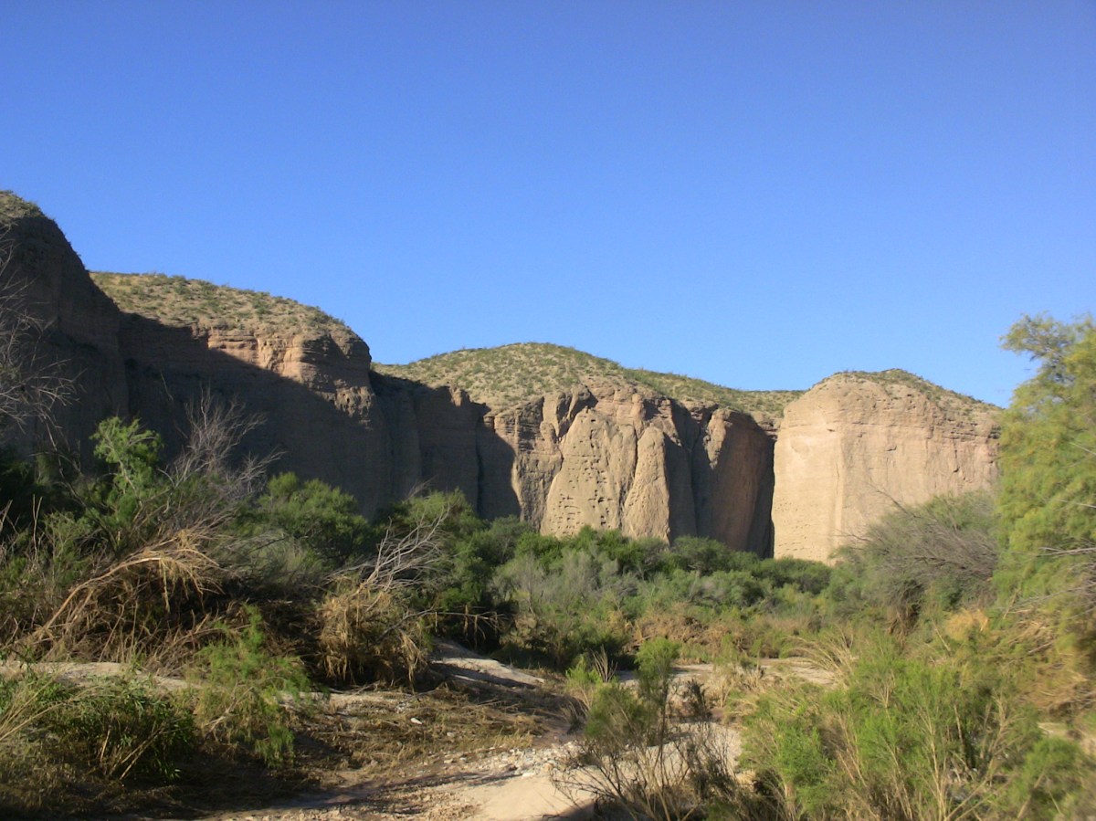 2017 Fair Photos | Cascabel Community Center