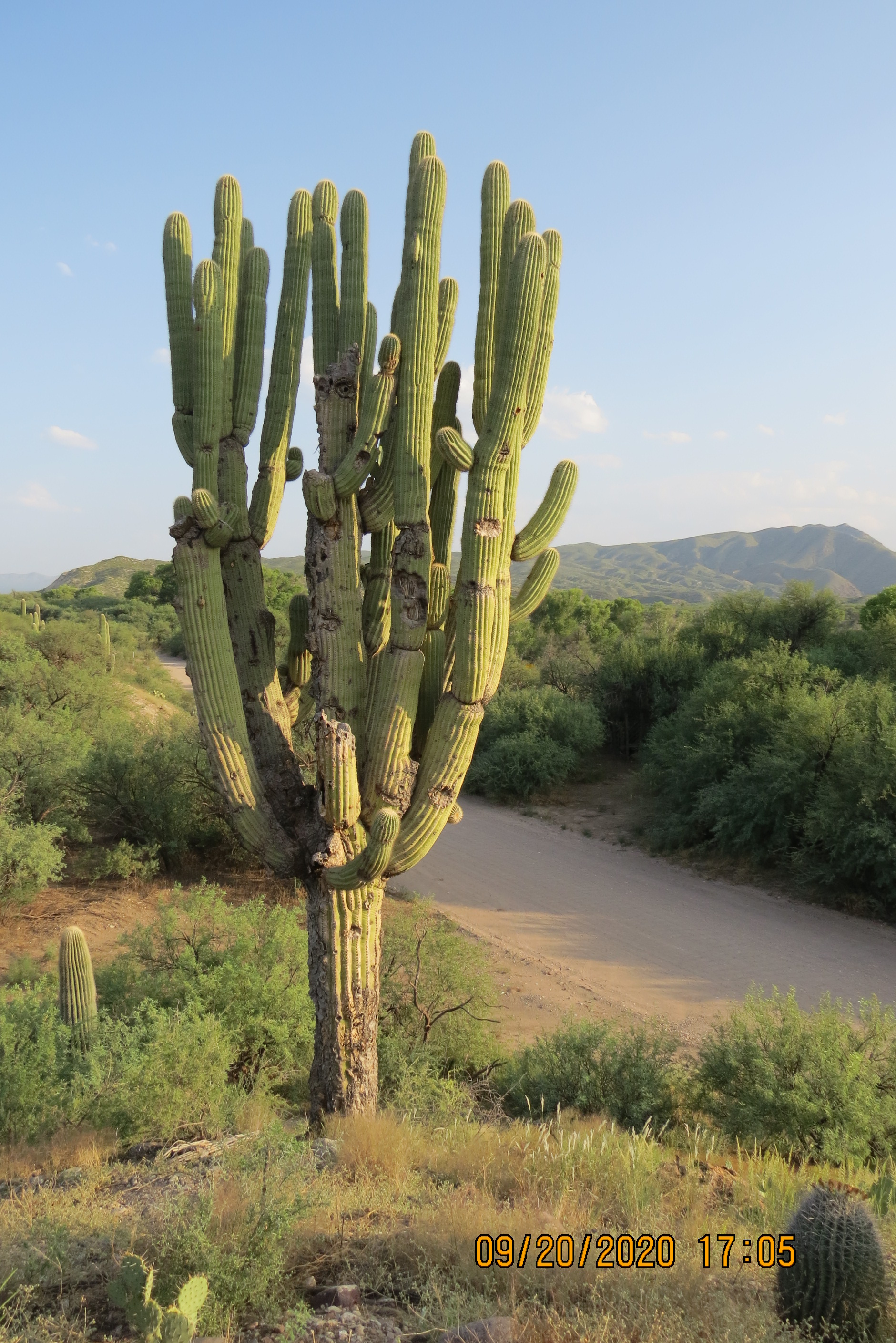 Cascabel Community Center | All things Cascabel